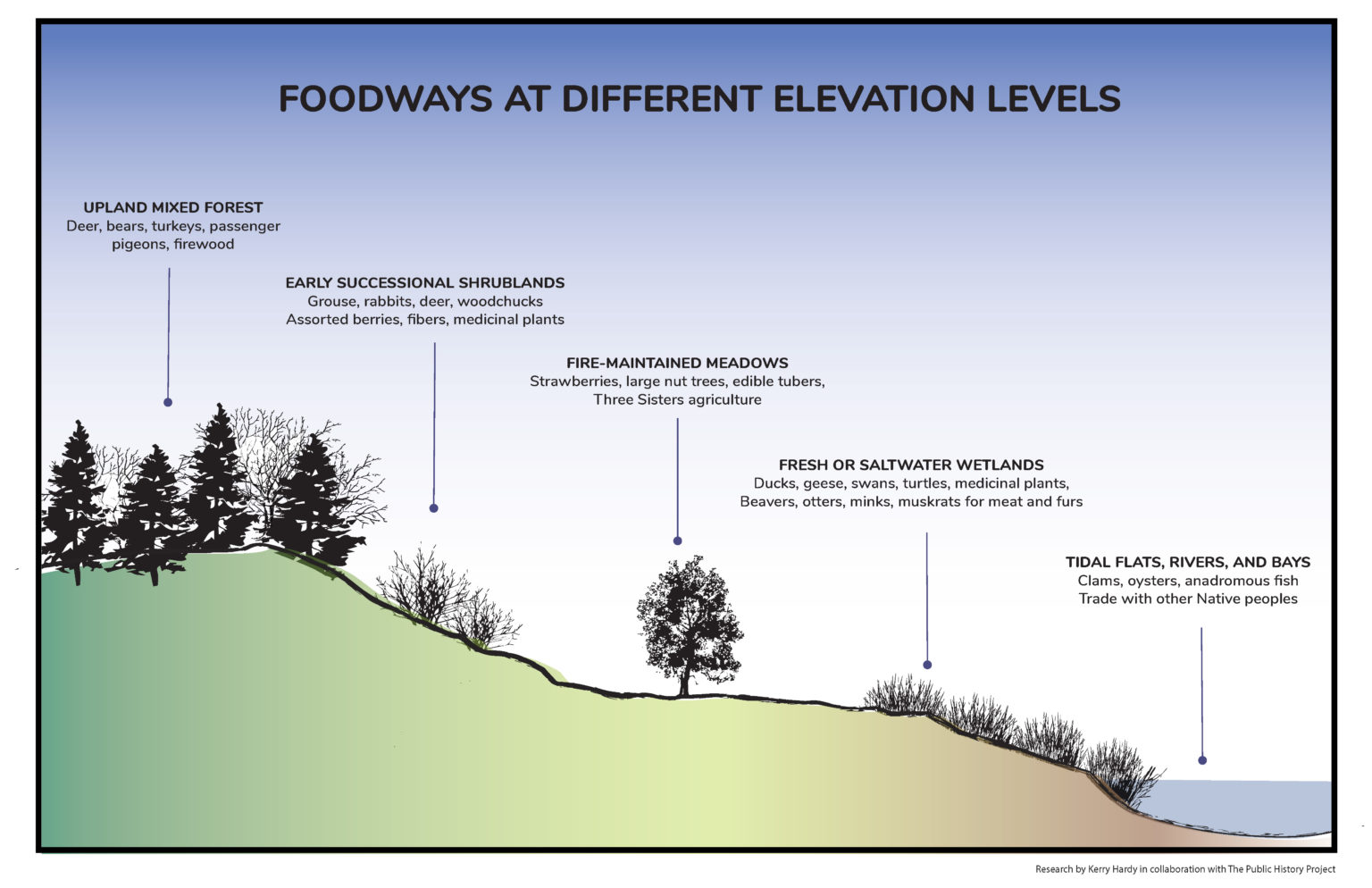 Indigenous Foodways – The Public History Project