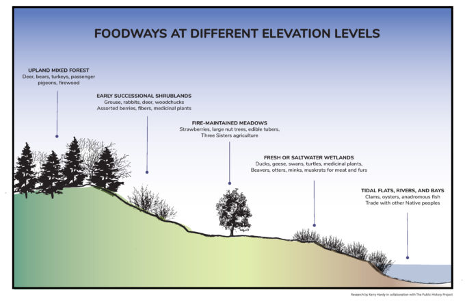 Indigenous Foodways – The Public History Project
